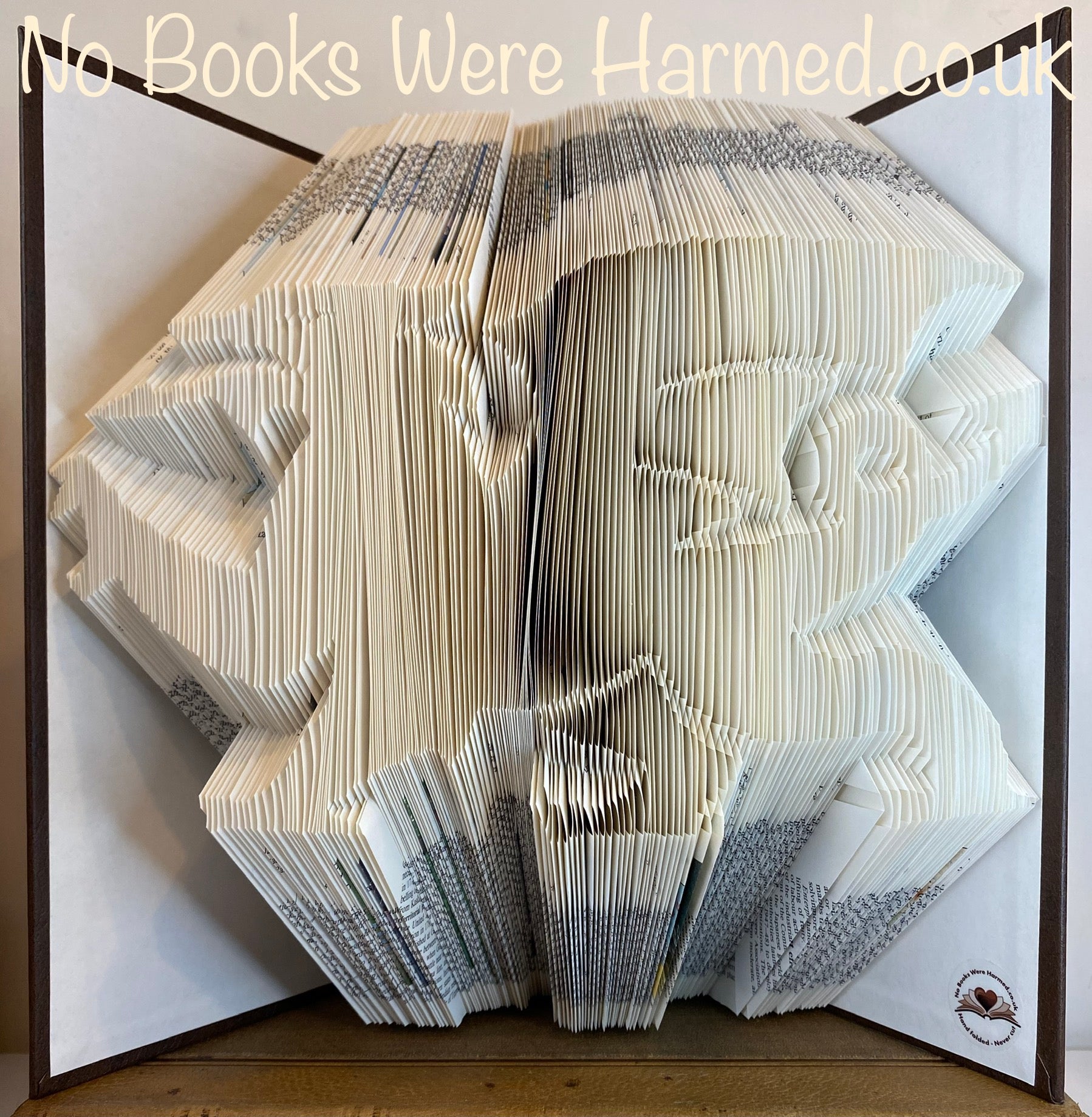 The hatching of the Welsh Dragon – nobookswereharmed.co.uk