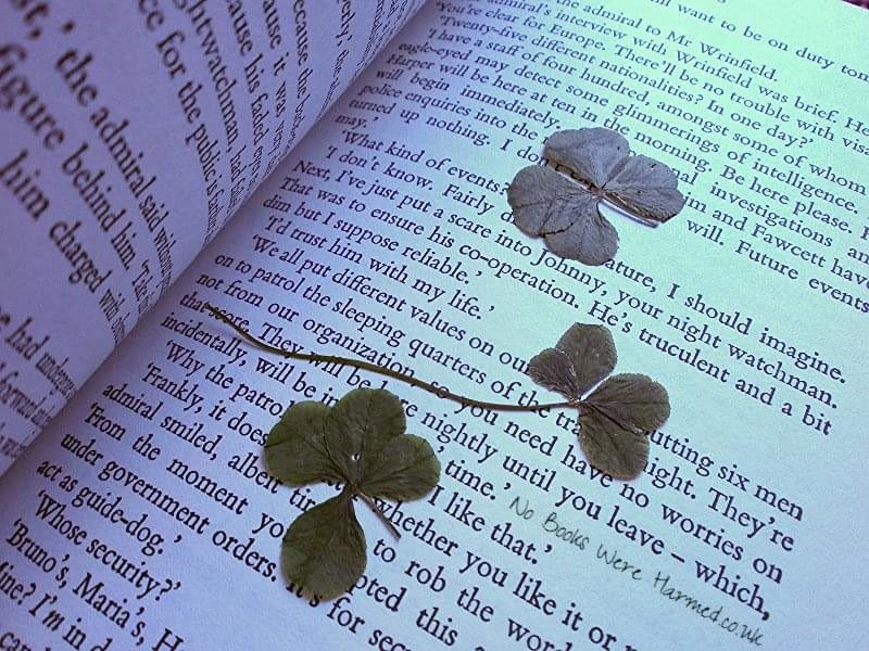 Hidden Treasure – nobookswereharmed.co.uk